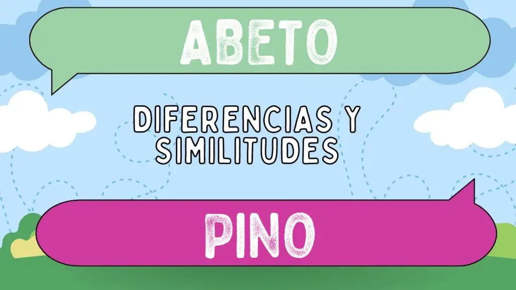 Diferencias entre abeto y pino