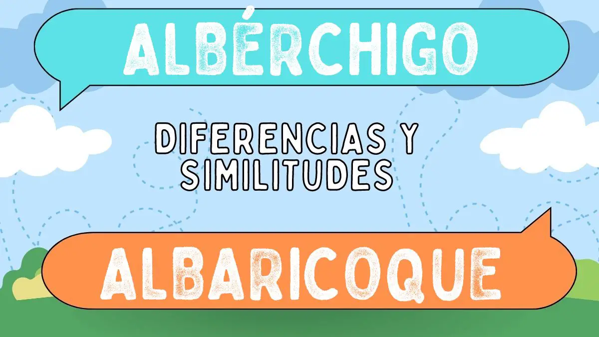 Diferencias entre albérchigo y albaricoque