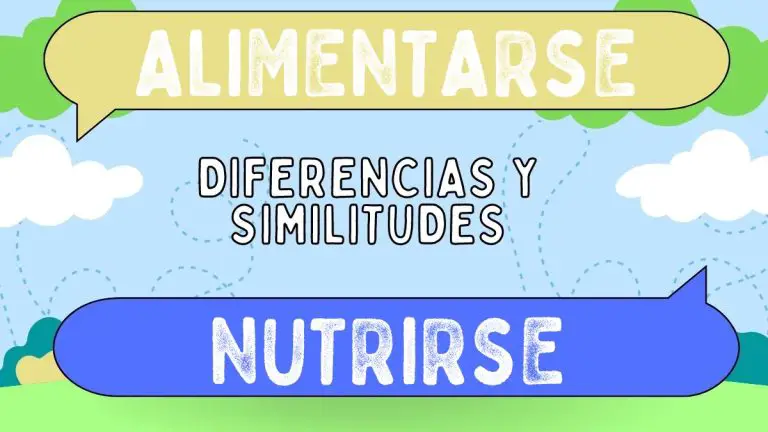 Diferencias entre alimentarse y nutrirse