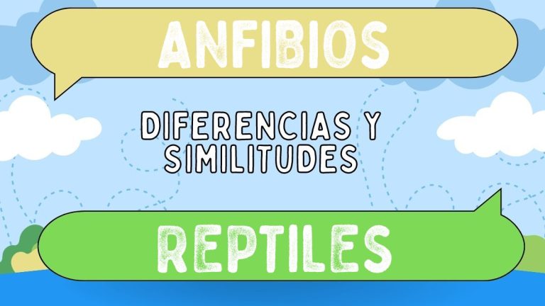 Diferencias entre anfibios y reptiles