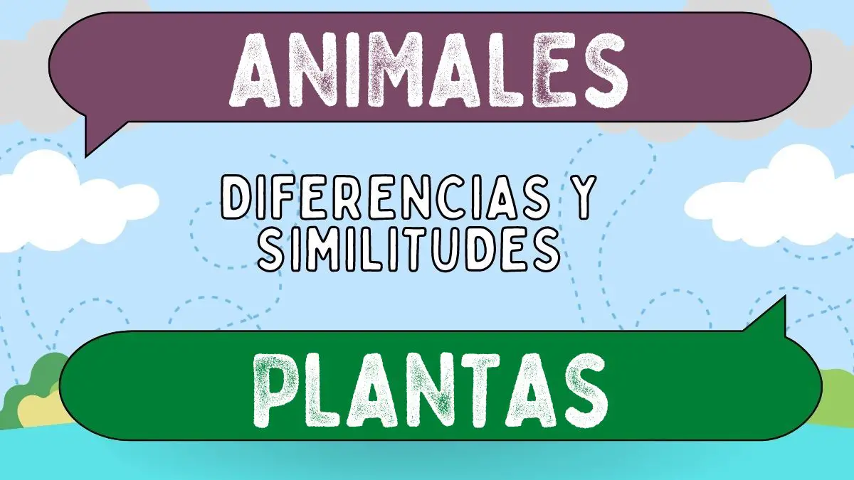 Que Tipo De Celulas Tienen Las Plantas Y Los Animales