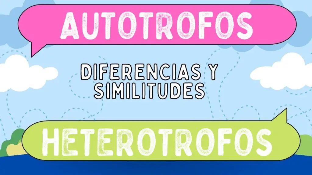 Diferencias entre autotrofos y heterotrofos