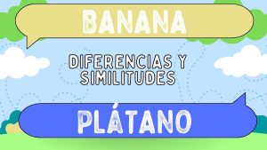 Diferencias entre banana y plátano