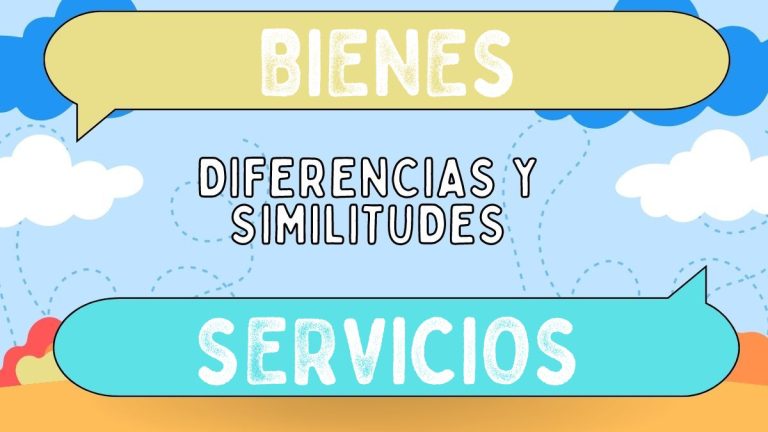 Diferencias entre bienes y servicios