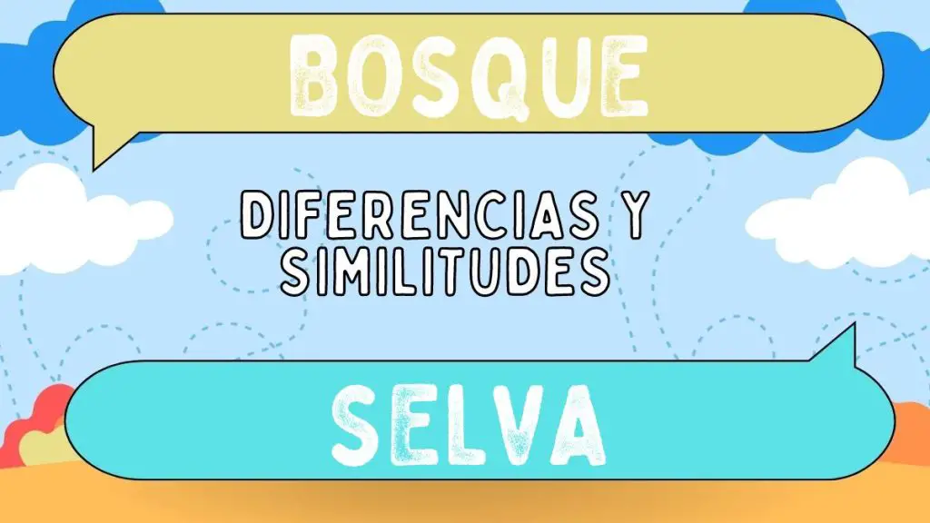 Diferencias entre bosque y selva