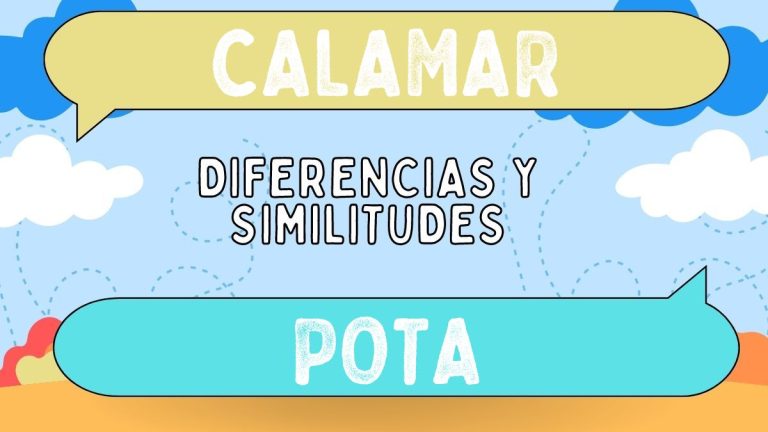 Diferencias entre calamar y pota