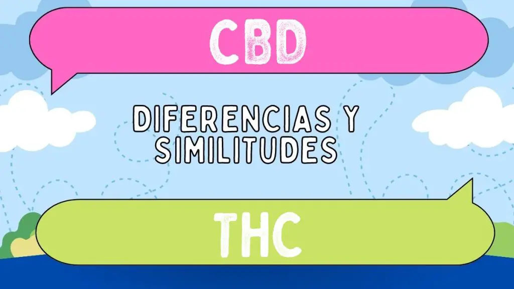 Diferencias entre cbd y thc