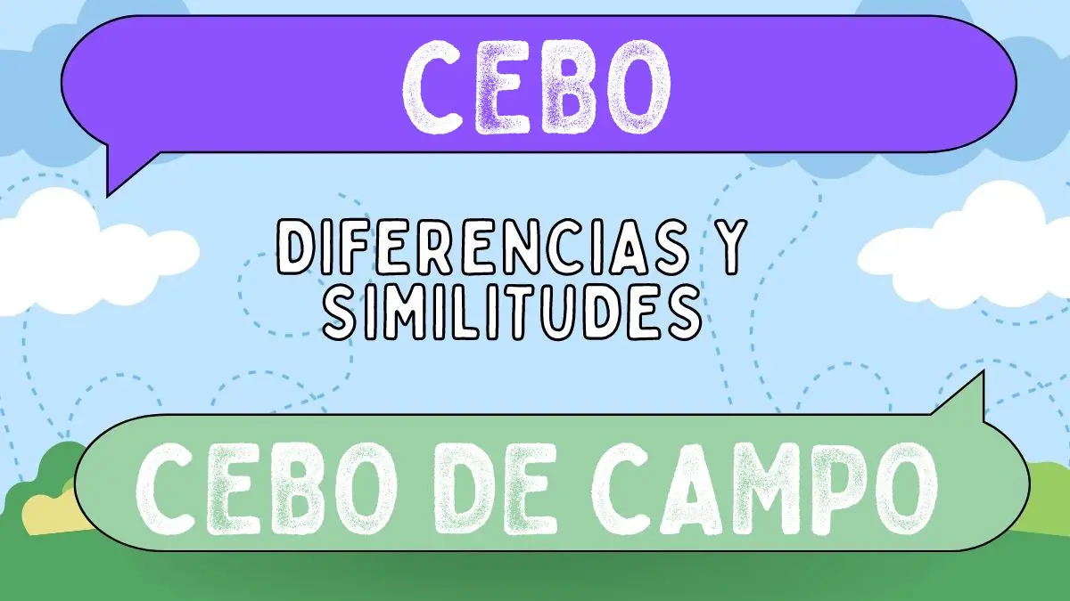 Diferencias entre cebo y cebo de campo