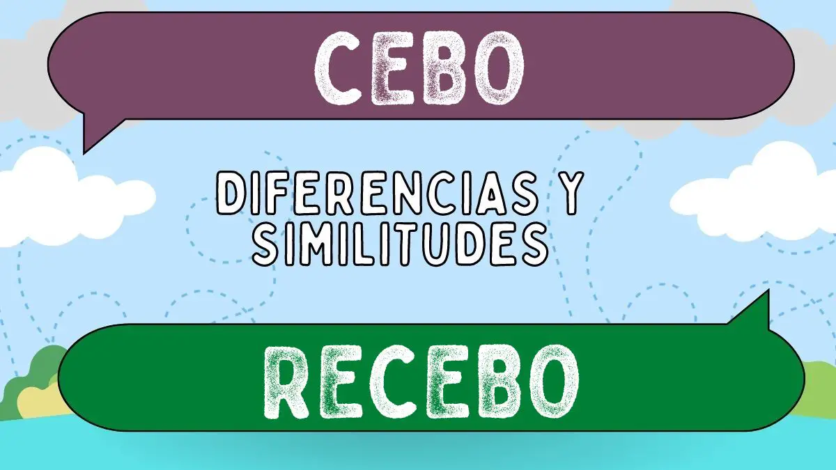 Diferencias entre cebo y recebo