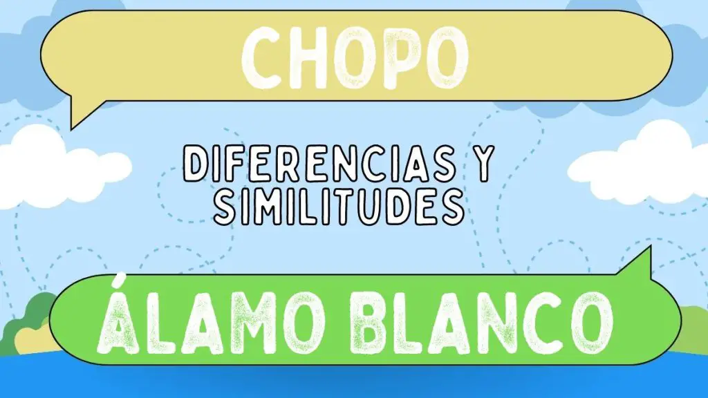 Diferencias entre chopo y álamo blanco