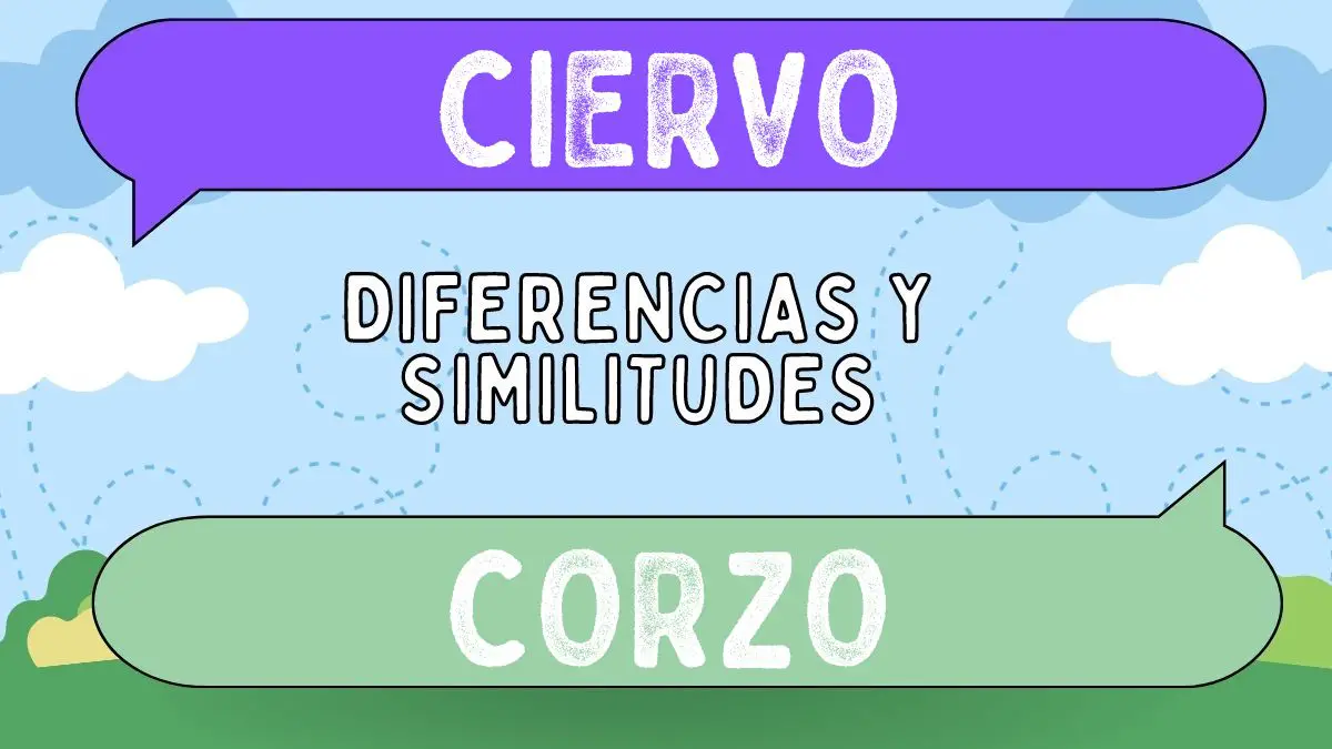 Diferencias entre ciervo y corzo