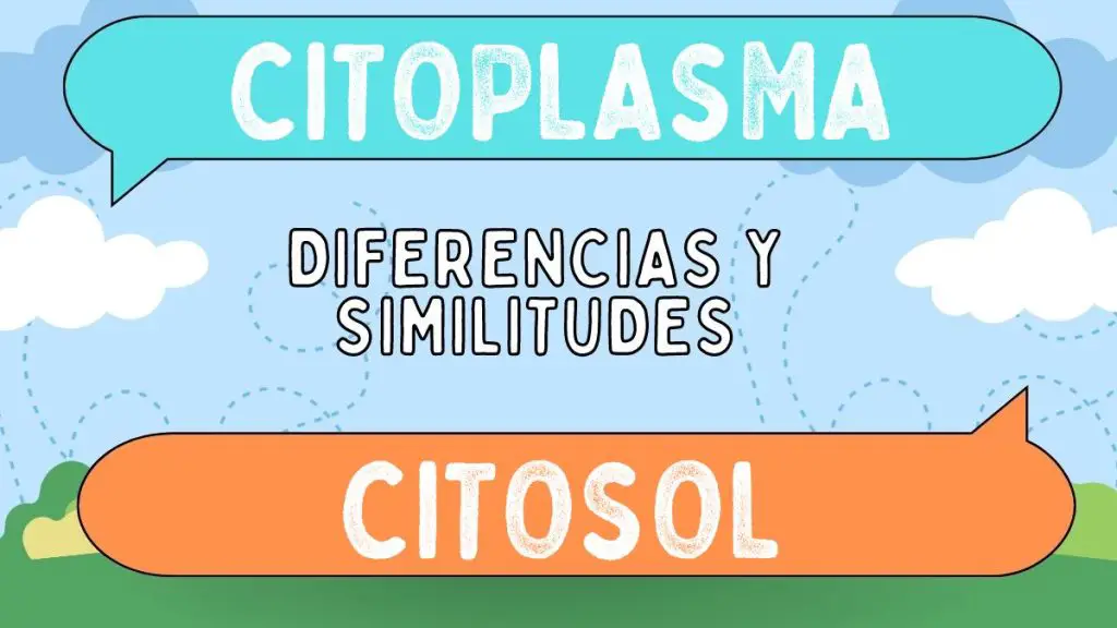 Diferencias entre citoplasma y citosol
