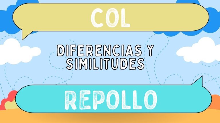 Diferencias entre col y repollo
