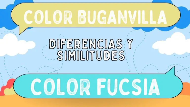 Diferencias entre color buganvilla y color fucsia