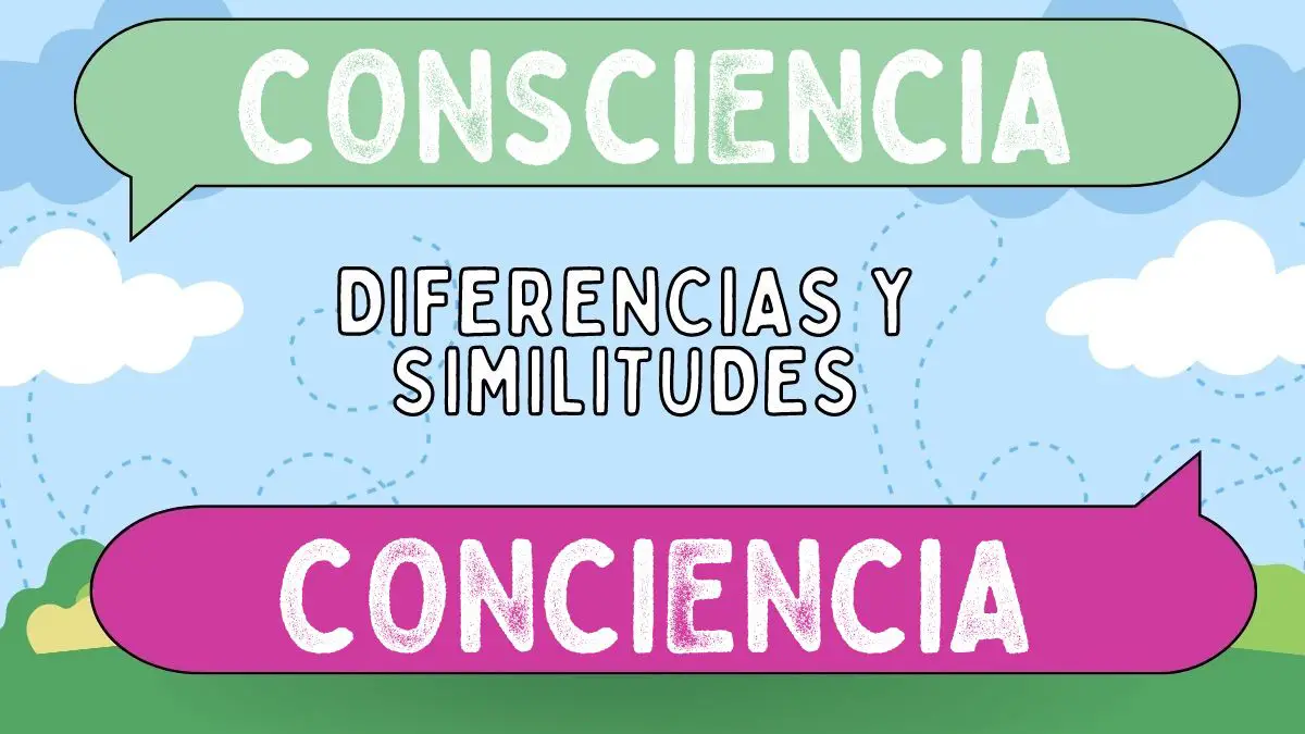Diferencias entre consciencia y conciencia