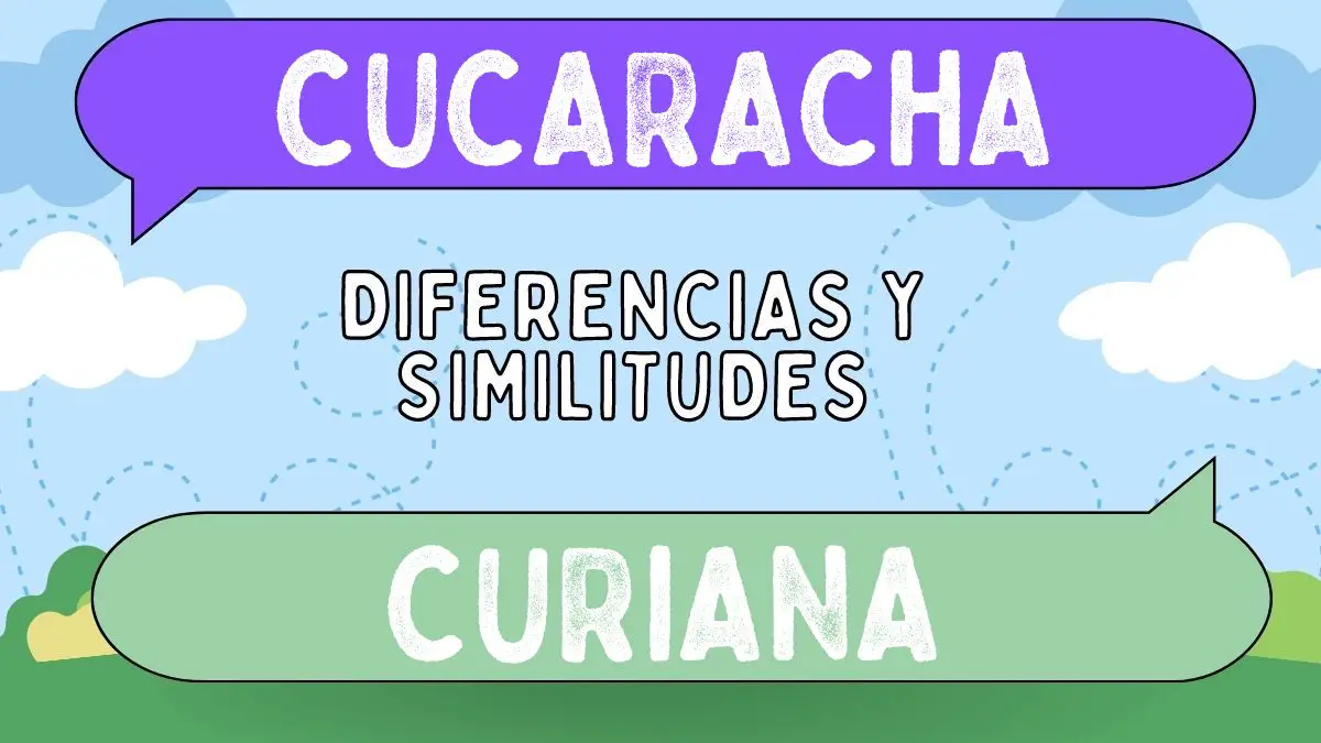 Diferencias entre cucaracha y curiana