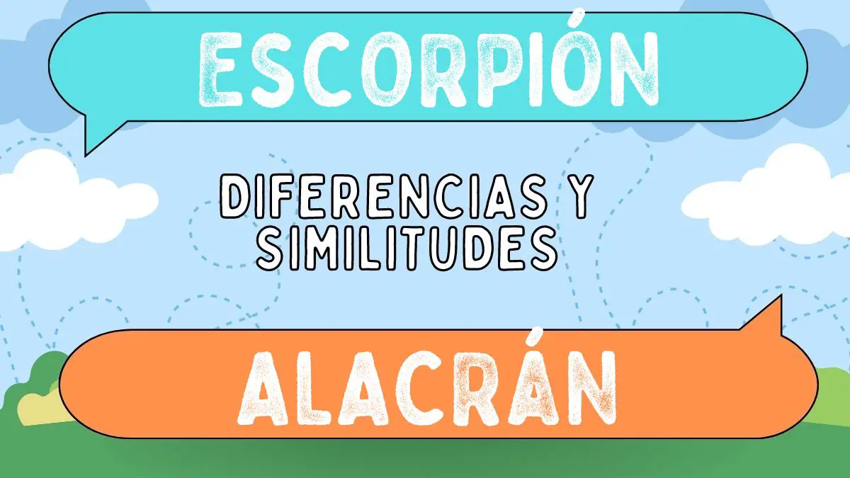 Diferencias entre escorpión y alacrán
