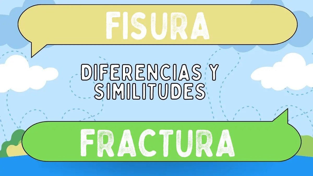 Diferencias entre fisura y fractura