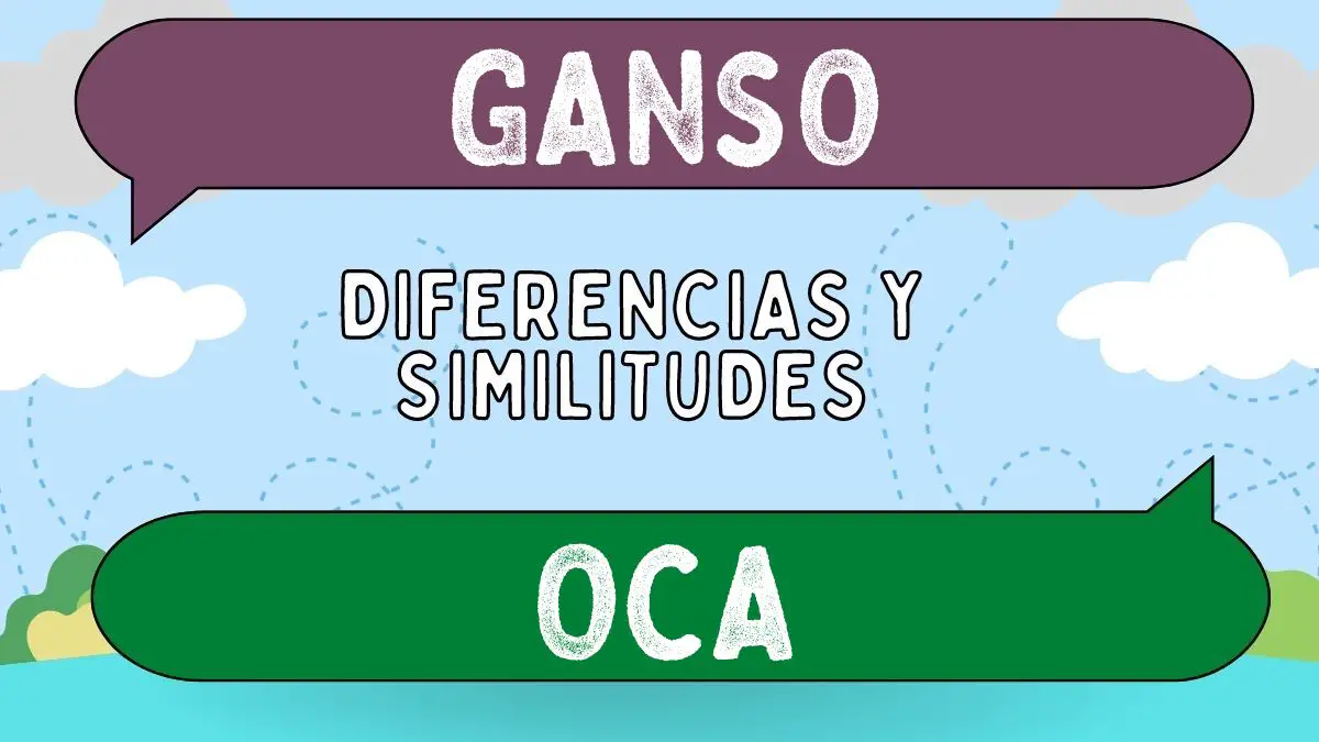 Diferencias entre ganso y oca