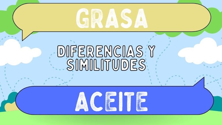 Diferencias entre grasa y aceite