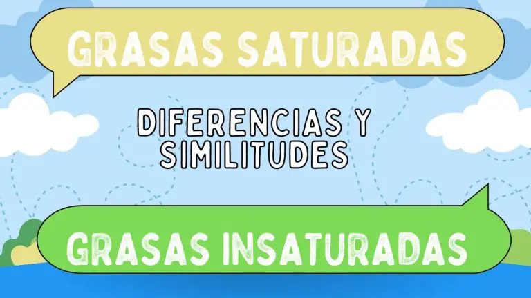 Diferencias entre grasas saturadas y grasas insaturadas
