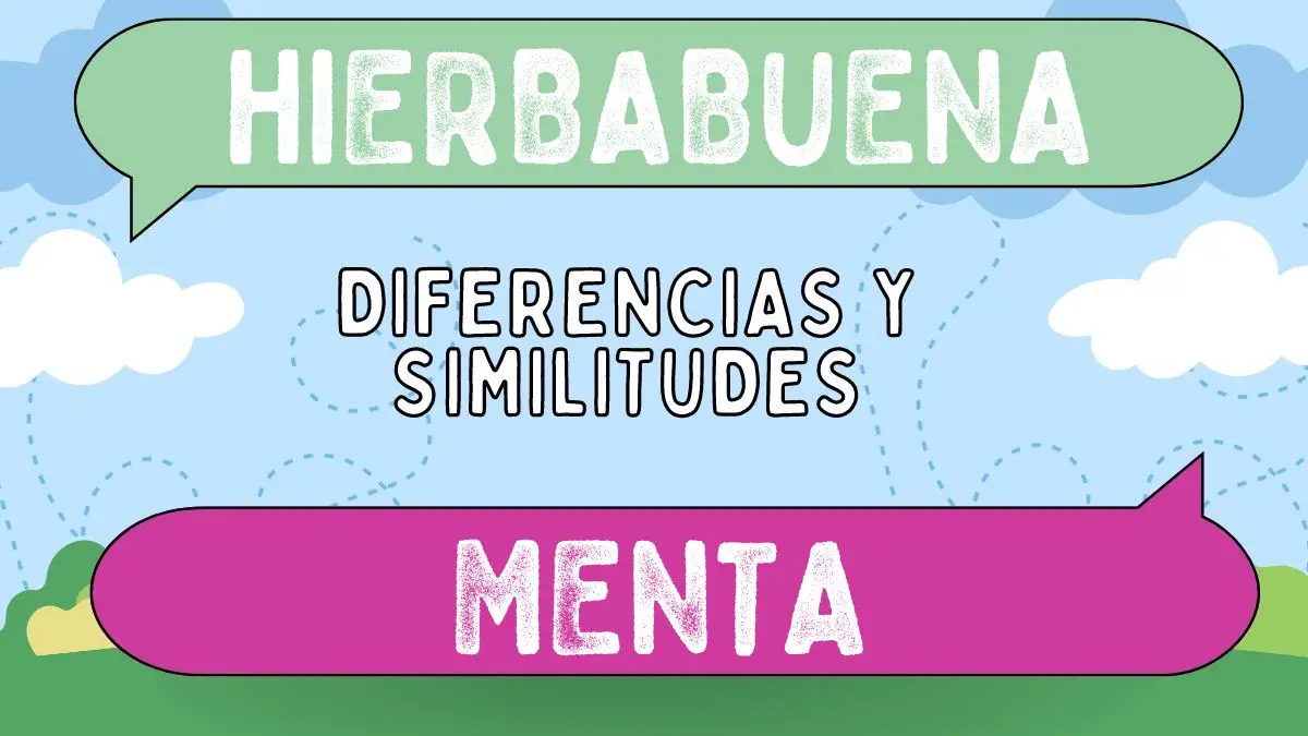 Diferencias entre hierbabuena y menta