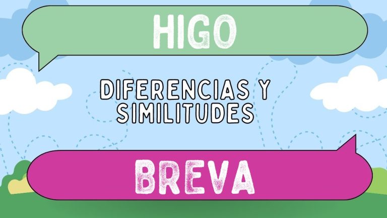 Diferencias entre higo y breva