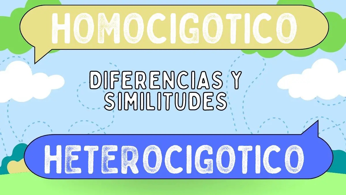 Diferencias entre homocigotico y heterocigotico