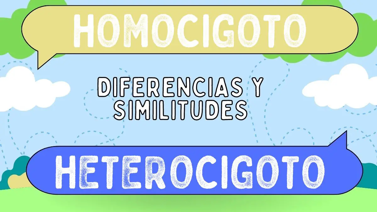 Diferencias entre homocigoto y heterocigoto