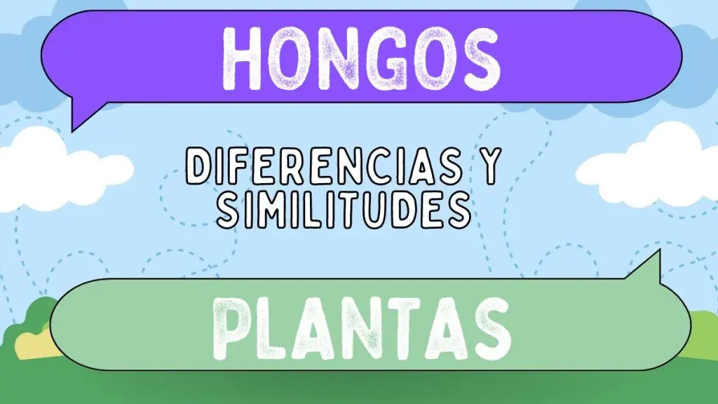 Diferencias entre hongos y plantas