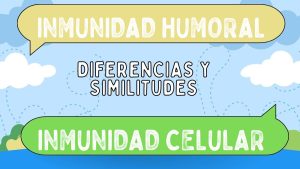 Diferencias entre inmunidad humoral y inmunidad celular