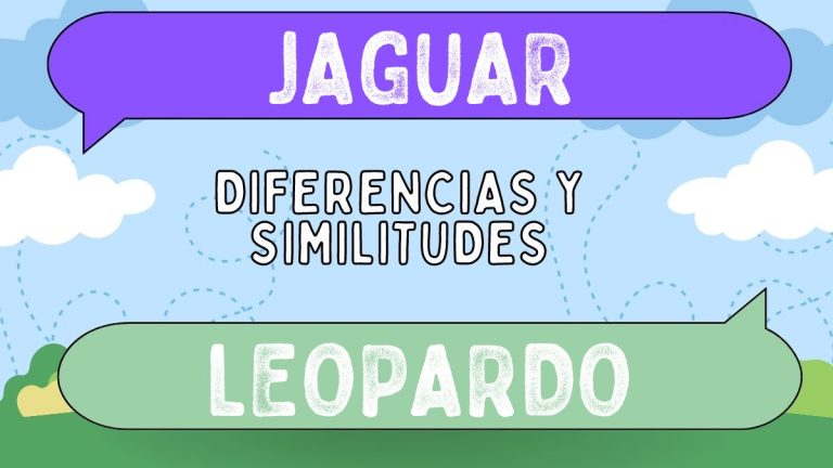 Diferencias entre jaguar y leopardo