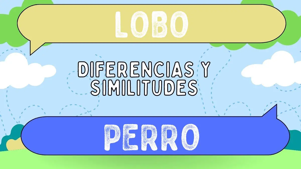 Diferencias entre lobo y perro