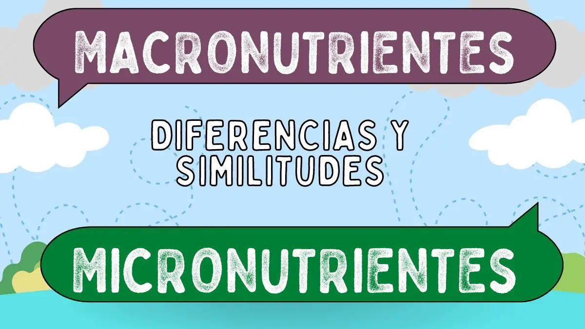 Diferencias entre macronutrientes y micronutrientes