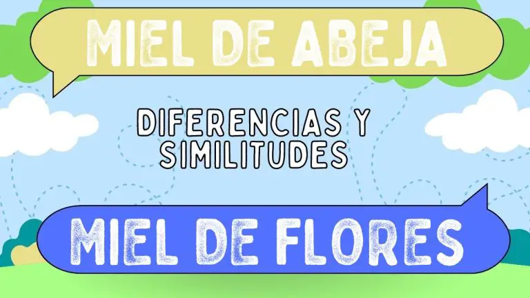 Diferencias entre miel de abeja y miel de flores