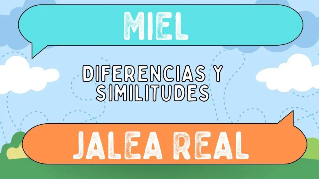 Diferencias entre miel y jalea real