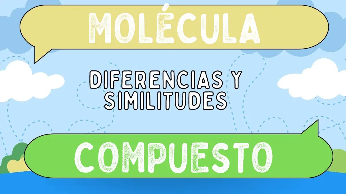 Diferencias entre molécula y compuesto