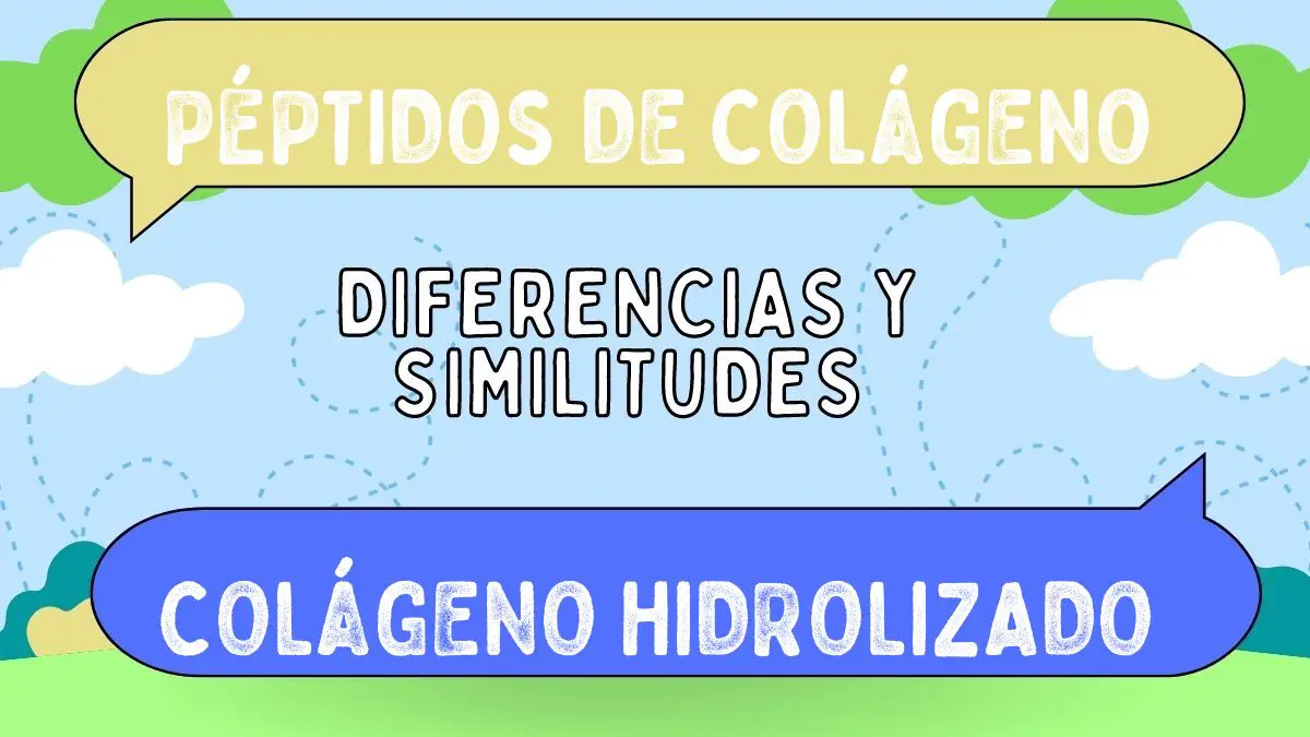 Diferencias entre péptidos de colágeno y colágeno hidrolizado