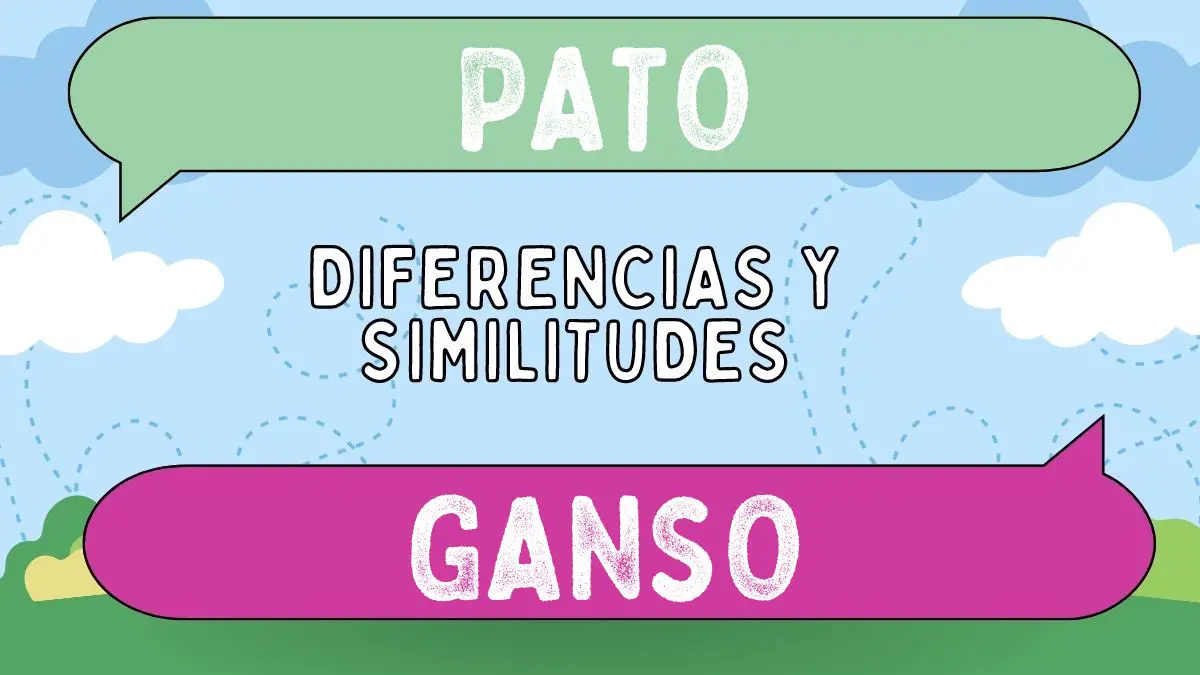 Diferencias entre pato y ganso