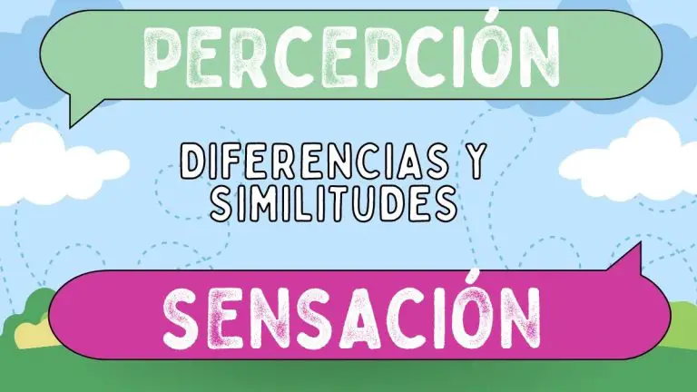 Diferencias entre percepción y sensación