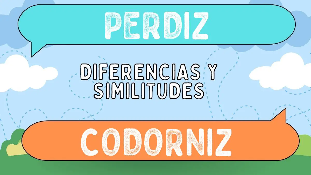 Diferencias entre perdiz y codorniz