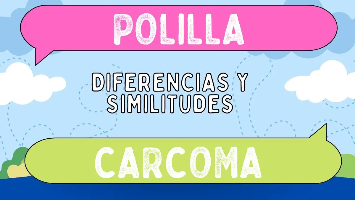 Diferencias entre polilla y carcoma