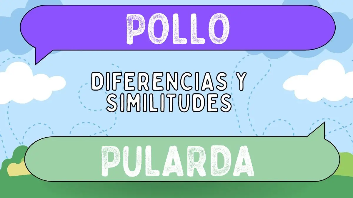 Diferencias entre pollo y pularda