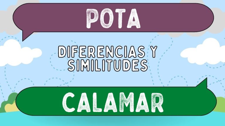 Diferencias entre pota y calamar