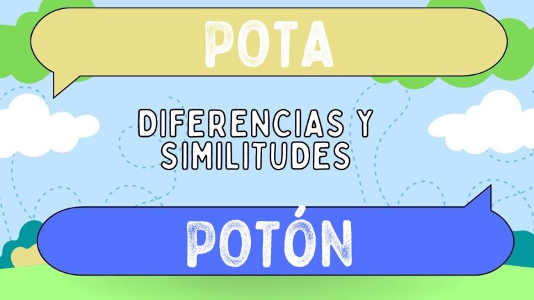 Diferencias entre pota y potón