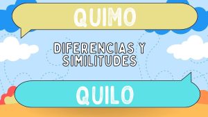 Diferencias entre quimo y quilo