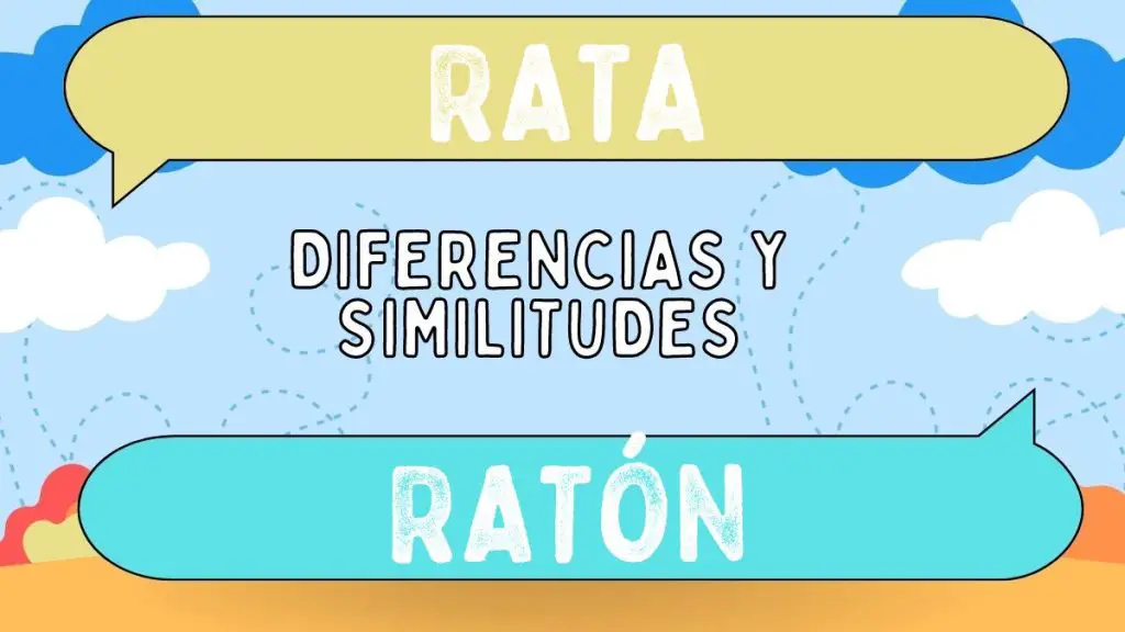 Diferencias entre rata y ratón