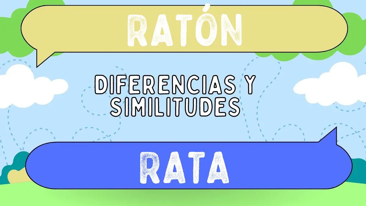 Diferencias entre ratón y rata