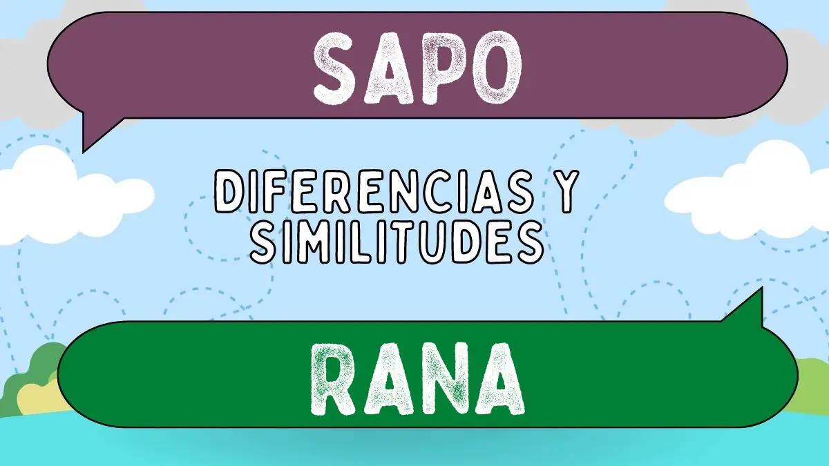 Diferencias entre sapo y rana