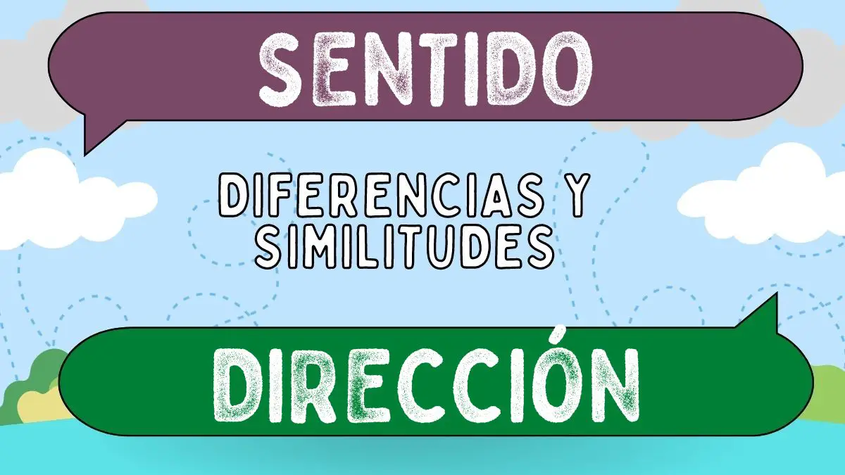 Diferencias entre sentido y dirección